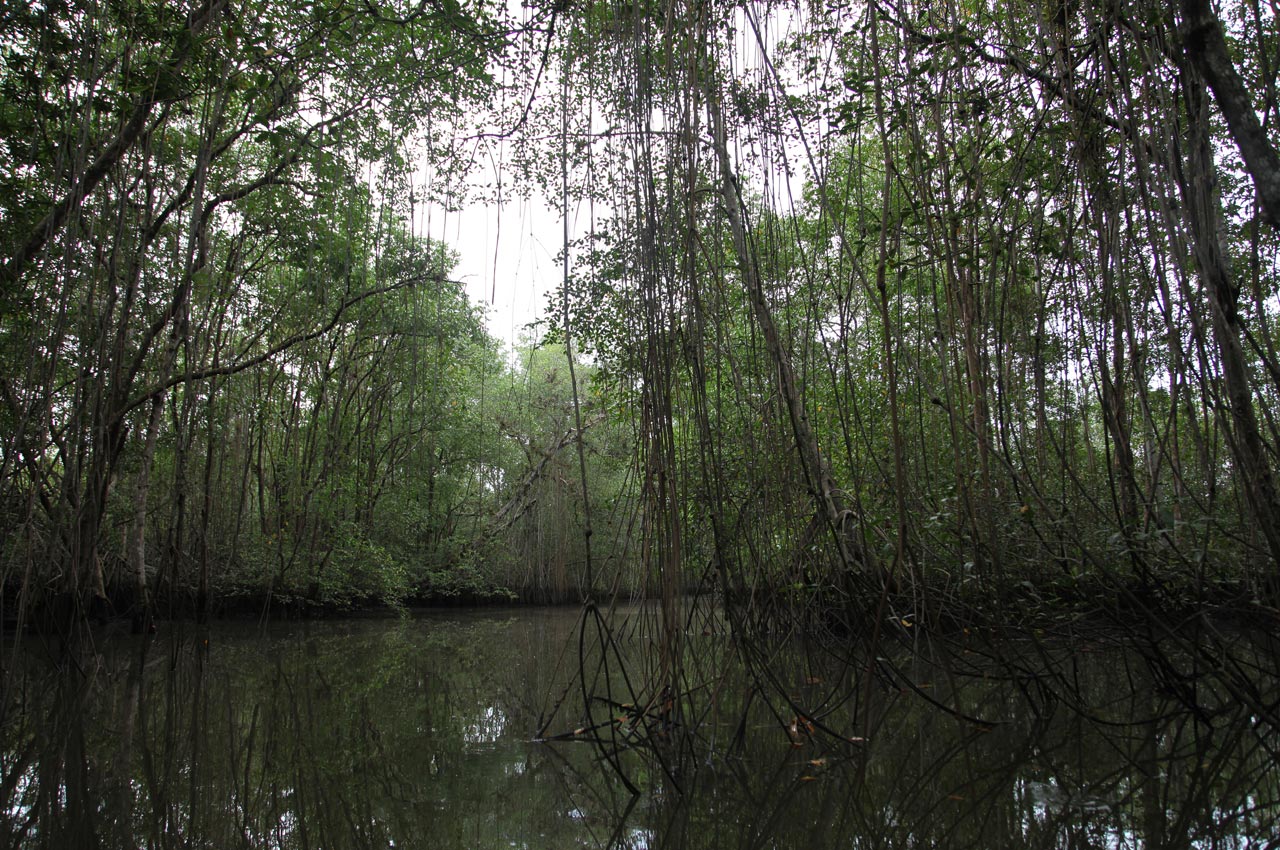 Parques y Reservas Nacionales del Ecuador :: EL COMERCIO